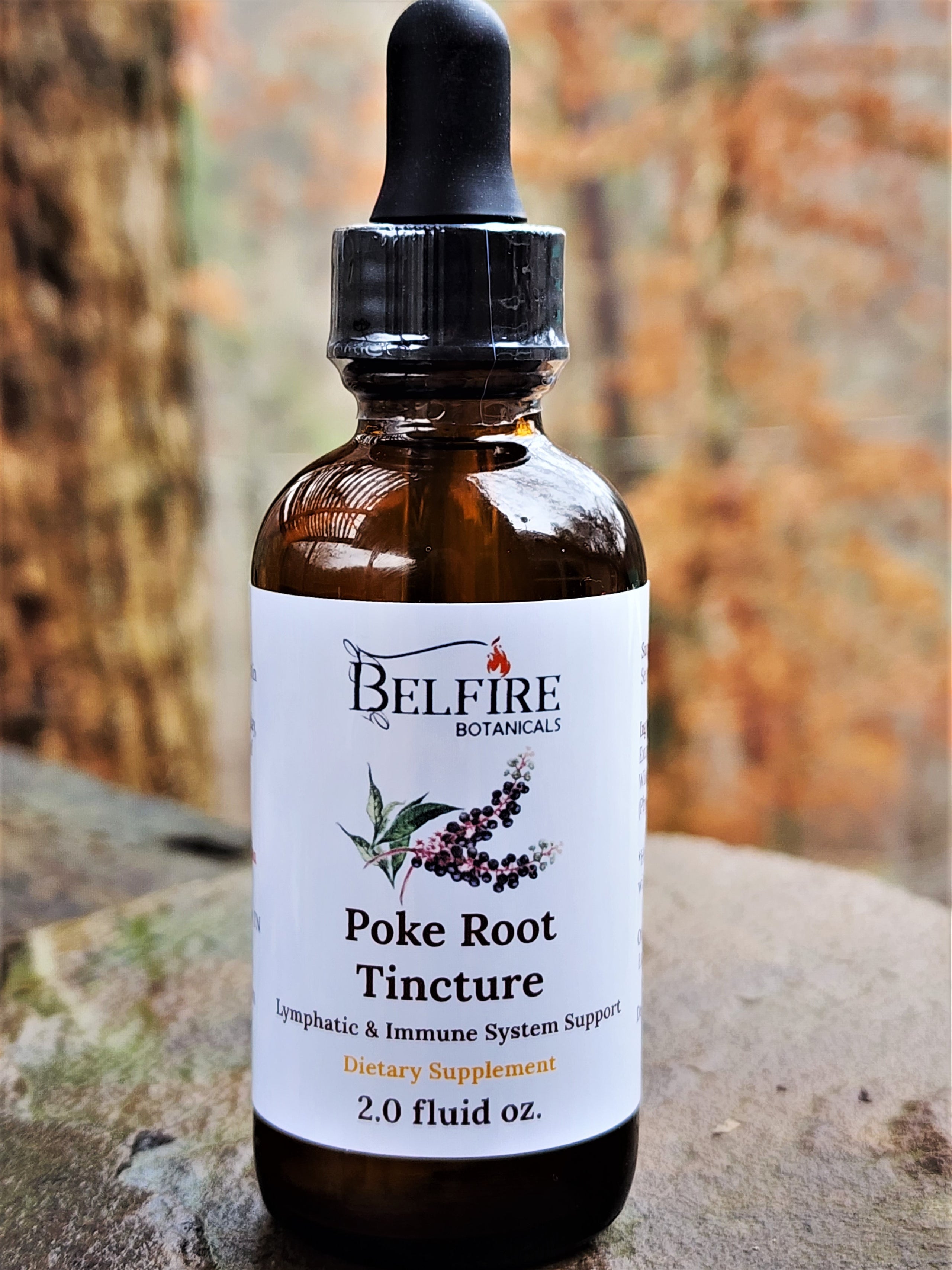 Poke Root Tincture | Belfire Botanicals